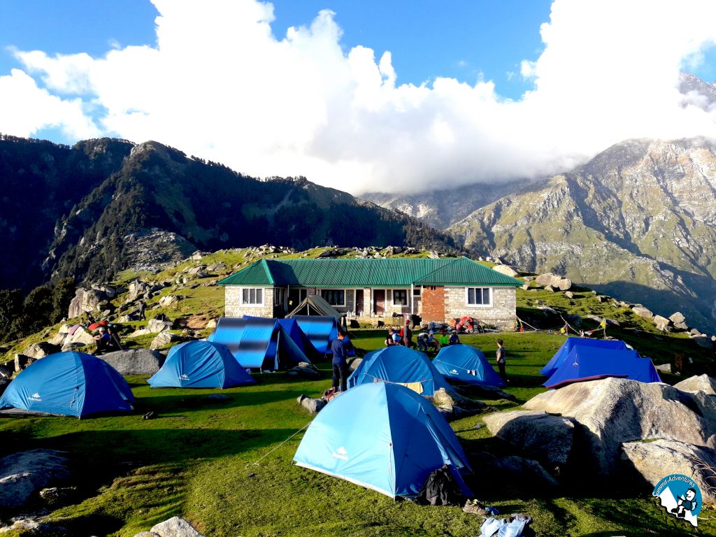 Triund Trek – Summit Adventures : | TREK | TRANSPORT | CULTURAL TRIPS